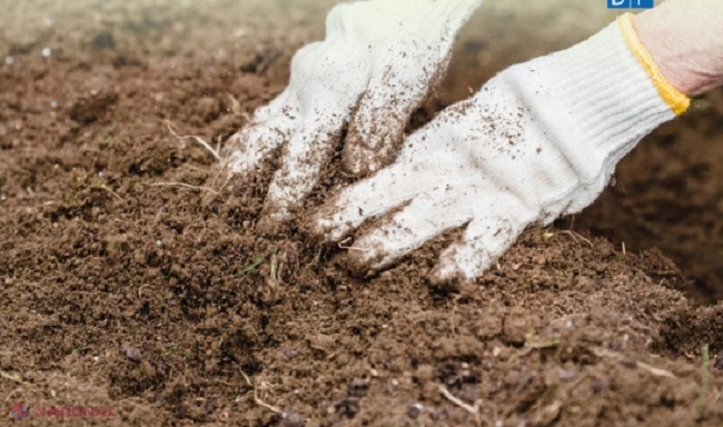 Savanţii din R. Moldova au elaborat metode de refacere a solurilor ...