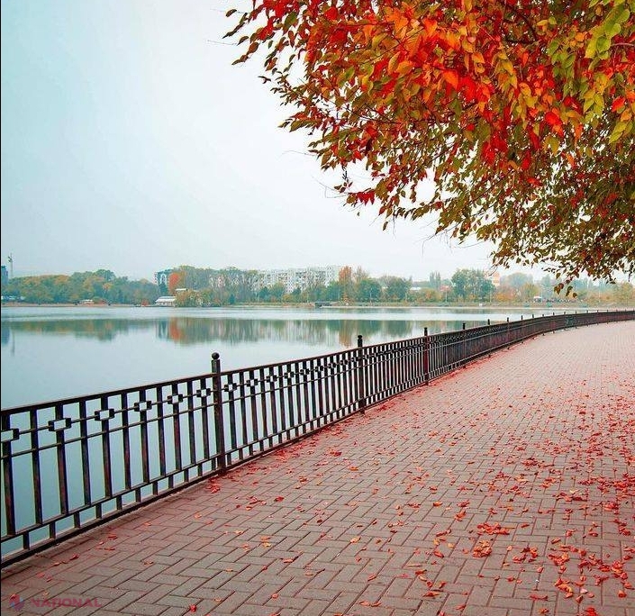 A căzut în lac în momentul când hrănea rațele: Un copil de 12 ani, salvat de la înec în Parcul ...