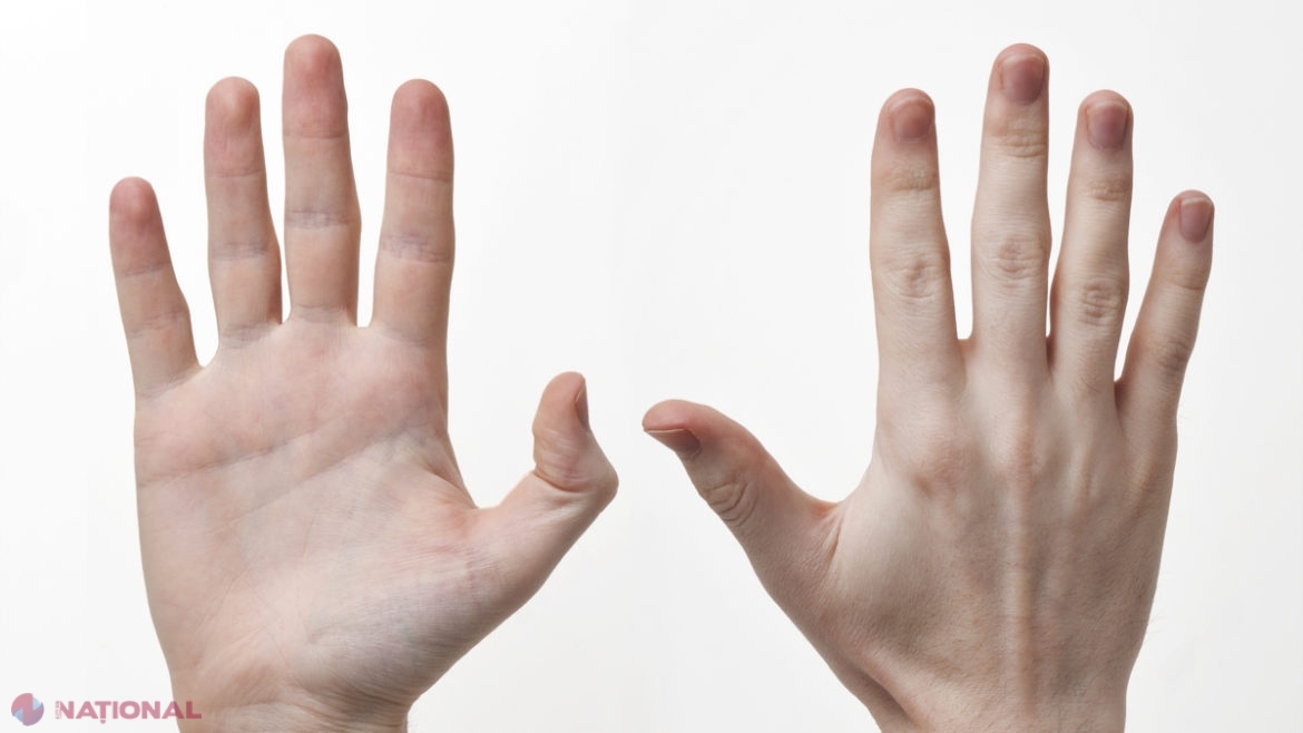 TEORII // De ce degetele de la mâini au dimensiuni diferite