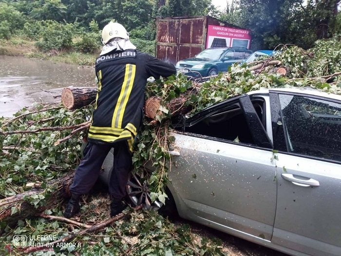 Mașini, DISTRUSE de doi copaci care au căzut peste ele la Petricani
