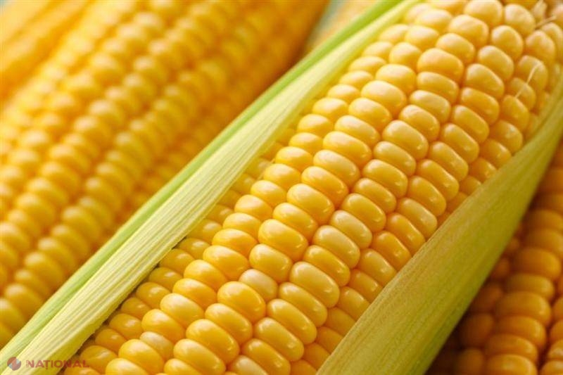 Beneficiile NEȘTIUTE ale porumbului