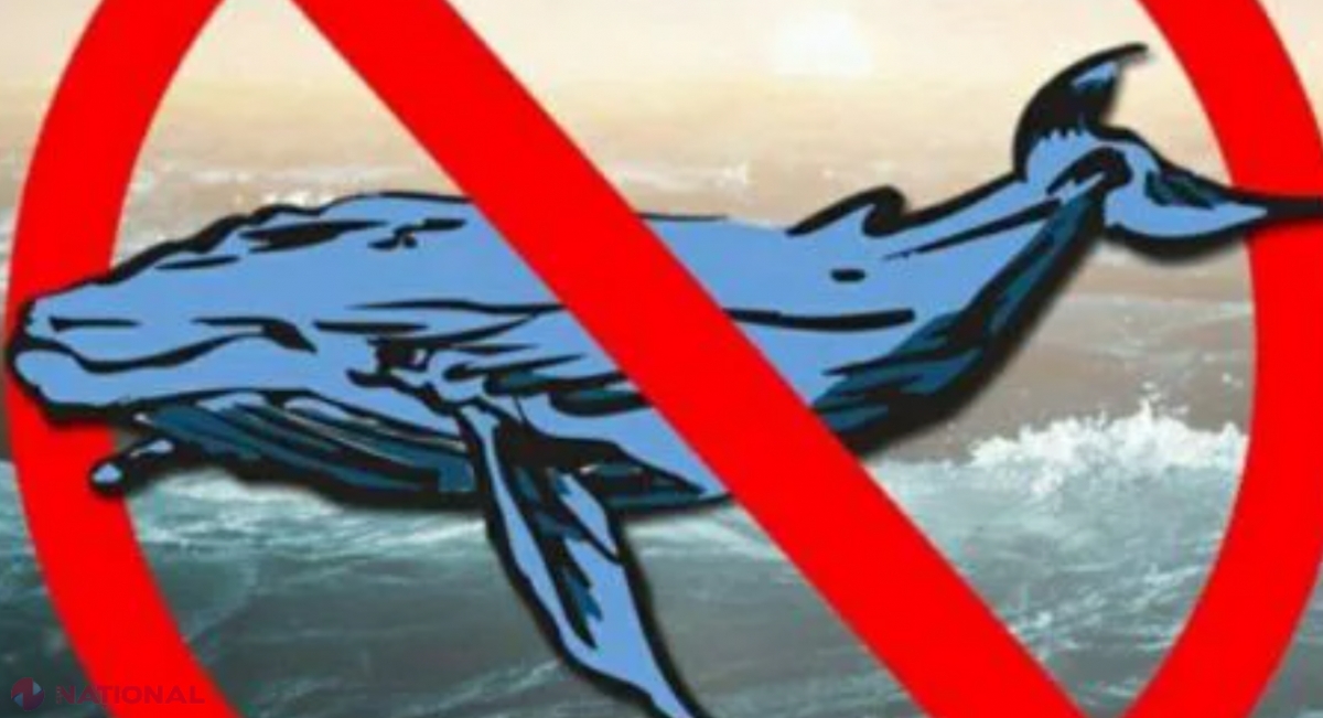 Revine provocarea ucigașă „Balena Albastră” pe Tik Tok. Noi cazuri de ...