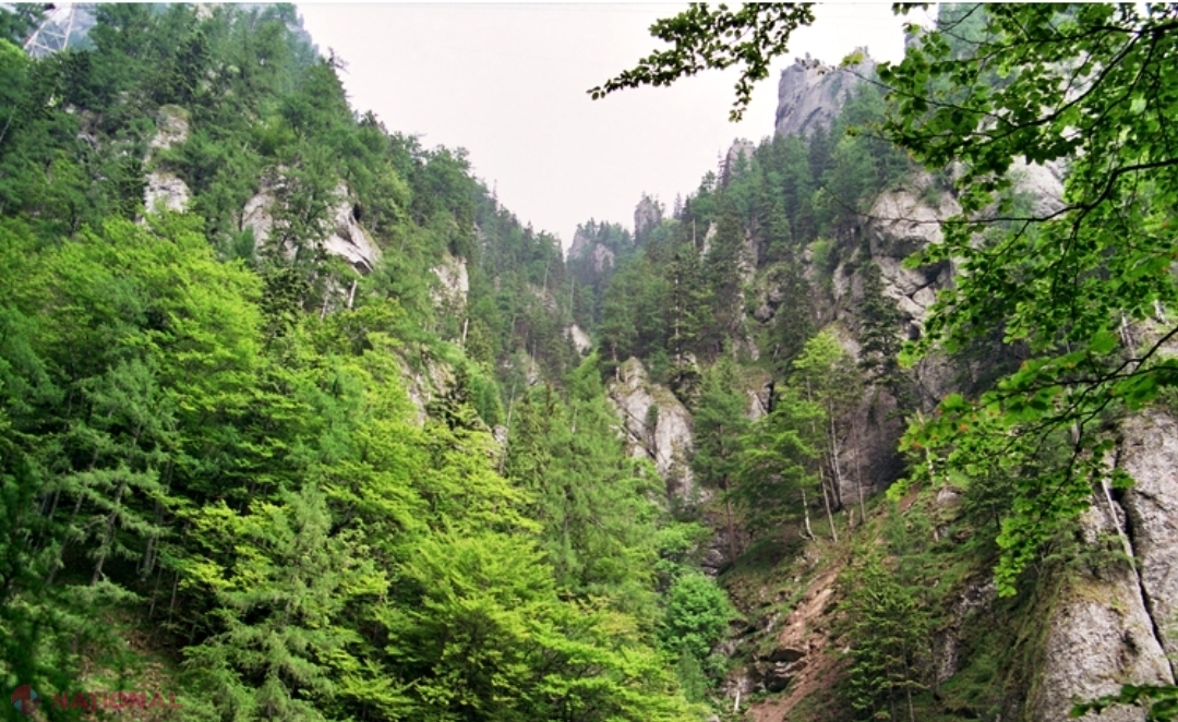Cea mai PURĂ apă din lume se află în România. Unde se află izvorul ...