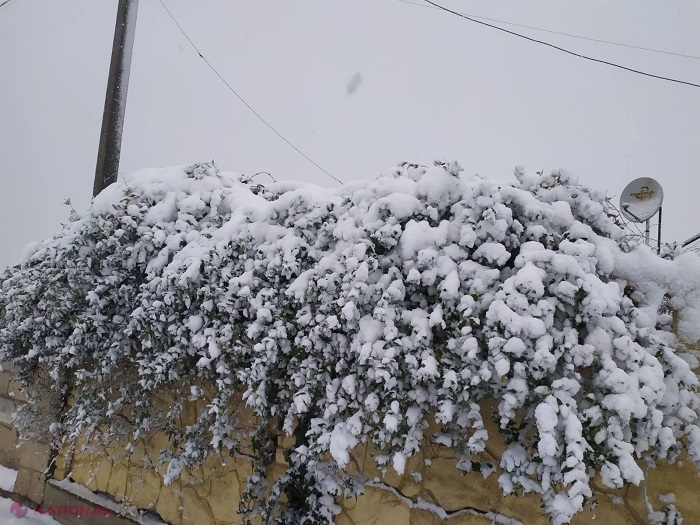 METEO // După ninsoarea abundentă vin ploile în R. Moldova: Ce ...