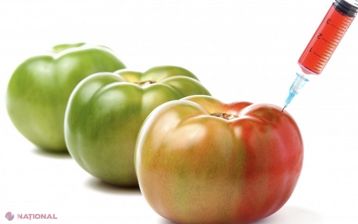 NOU // Organismele Modificate Genetic (OMG) pentru uz alimentar ...