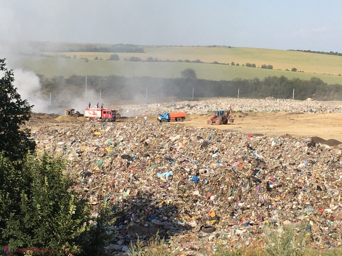 LISTA CÂȘTIGĂTORILOR // Împăduriri, râuri curățate, management modern ...
