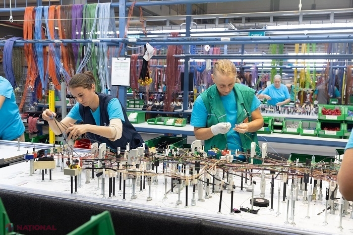 Peste 7 000 de persoane, angajate la muncă de la începutul anului, cu ...