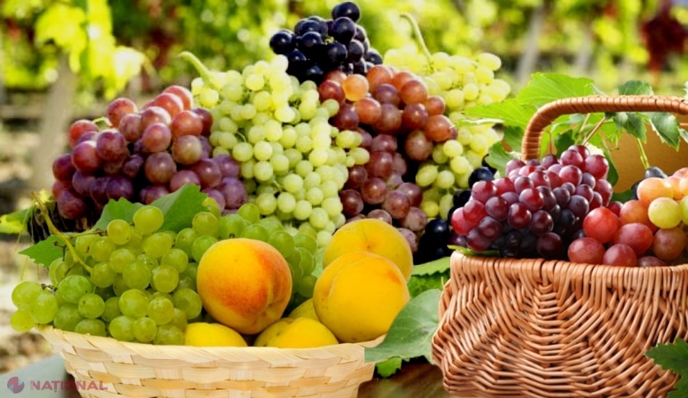 Care struguri sunt mai buni: albi, negri sau roșii. Iată câteva dintre ...