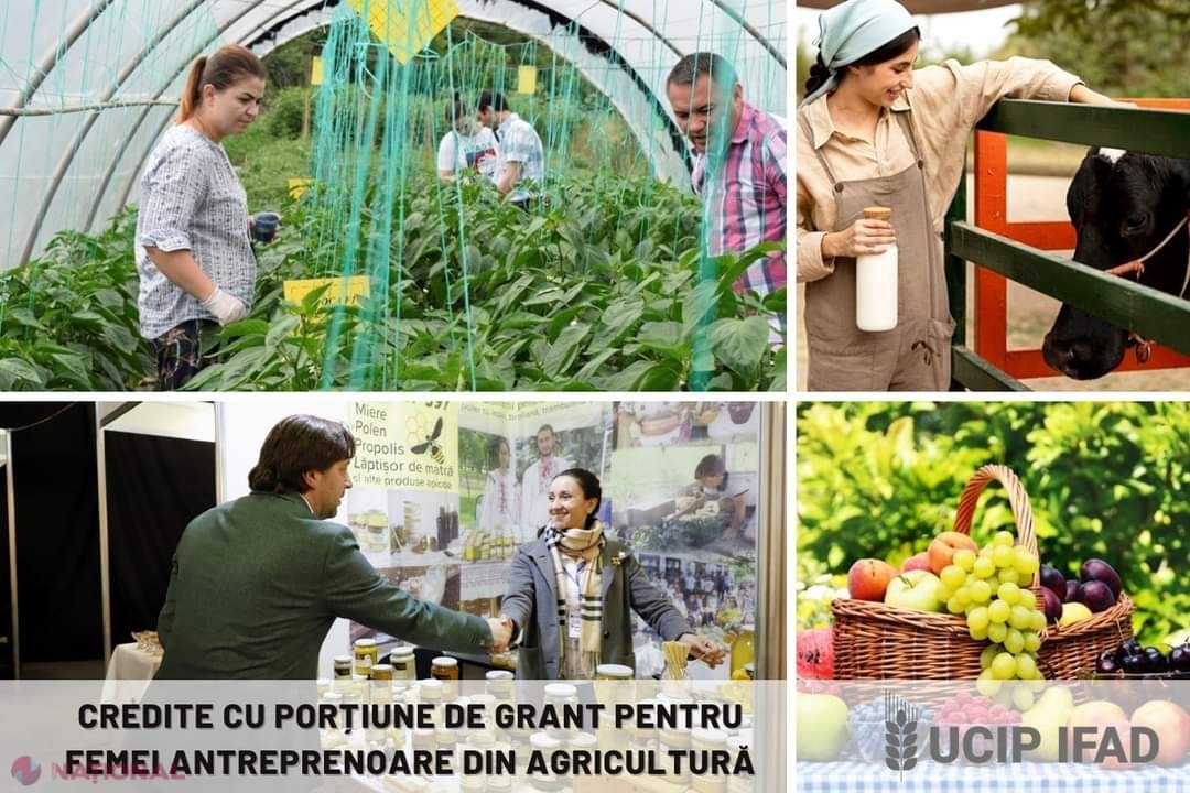 GRANTURI pentru întreprinderile gestionate de femeile din R. Moldova ...